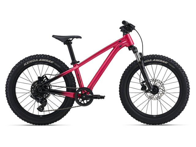 Liv STP 20 FS MY26 – Giant North Lakes